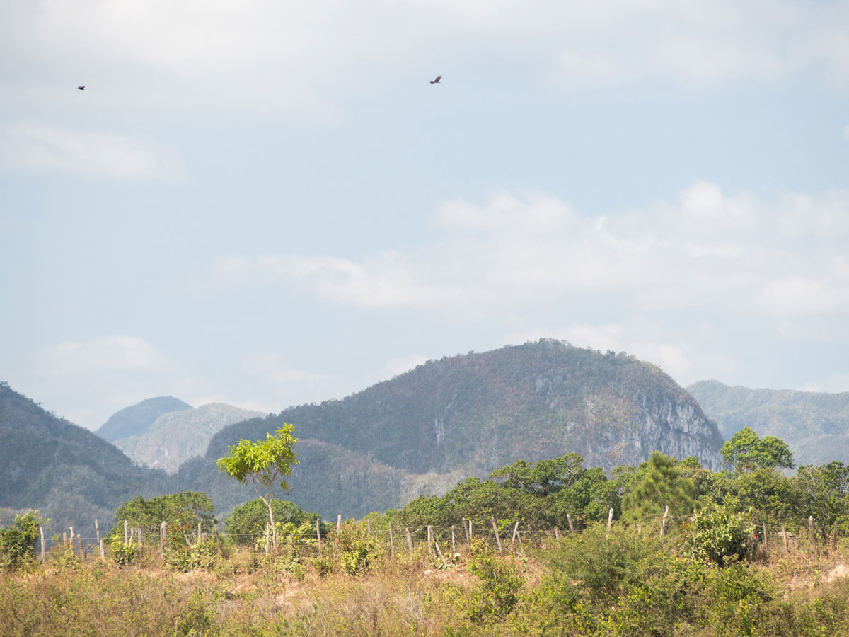 Das Vinales Tal in Kuba - smilesfromabroad